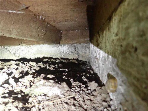 A Slippery Slope - Poor Grading - Nonprofit Home Inspections