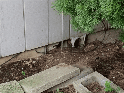 Foundation Vents and Basement Windows Below Grade - Nonprofit Home ...