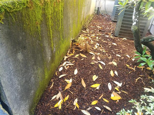 Common Retaining Wall Problems - Nonprofit Home Inspections