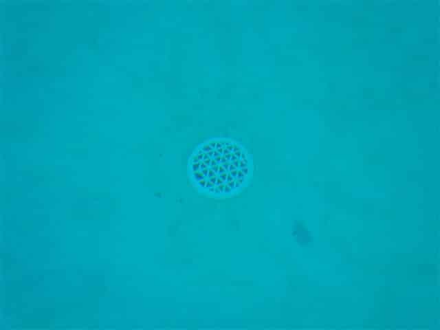 Swimming Pool Safety Hazards - Nonprofit Home Inspections