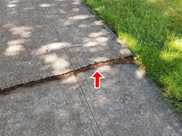 How to Repair Concrete Trip Hazards - Nonprofit Home Inspections